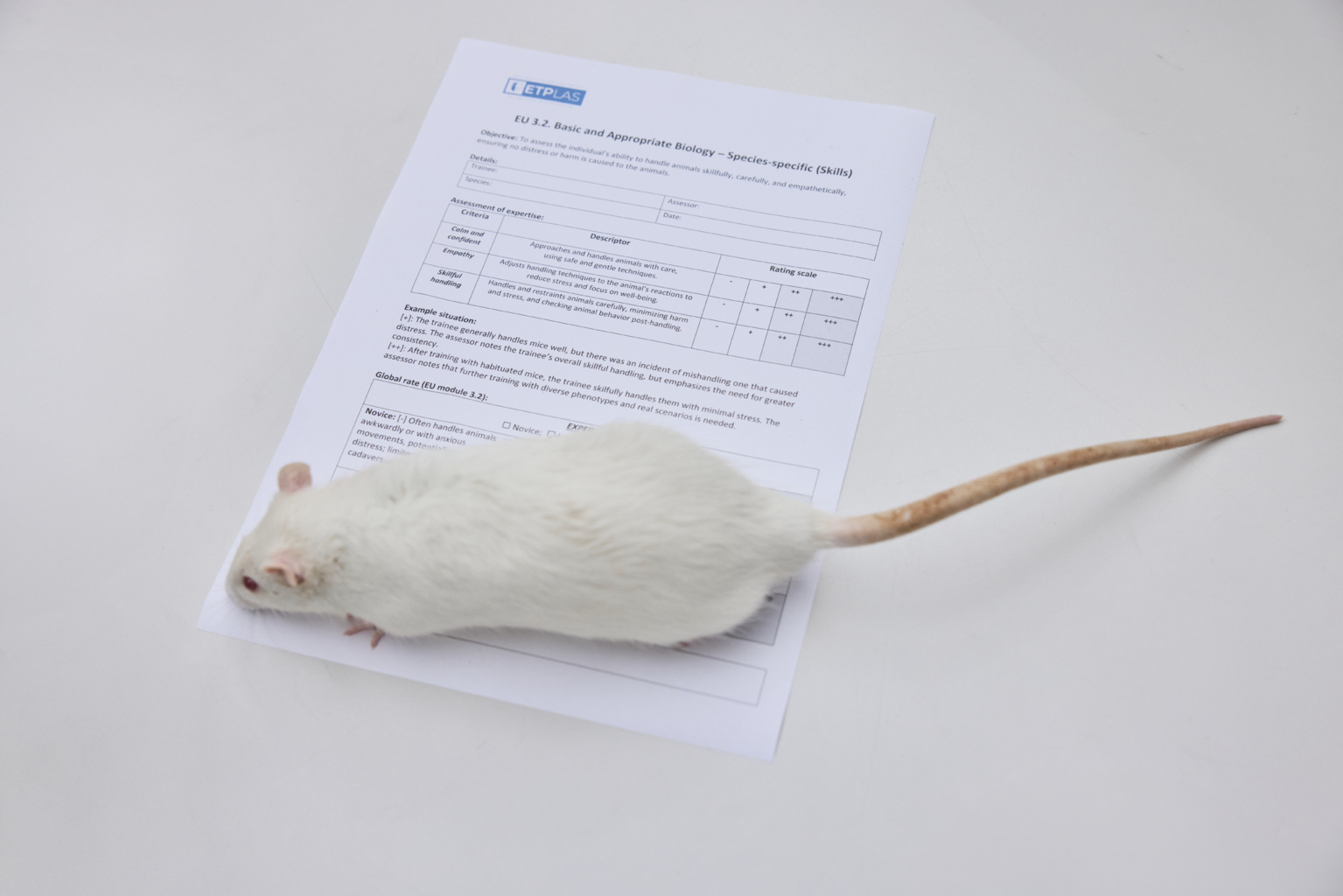 Competence Assessor and Supervisor Training within Laboratory Animal ...