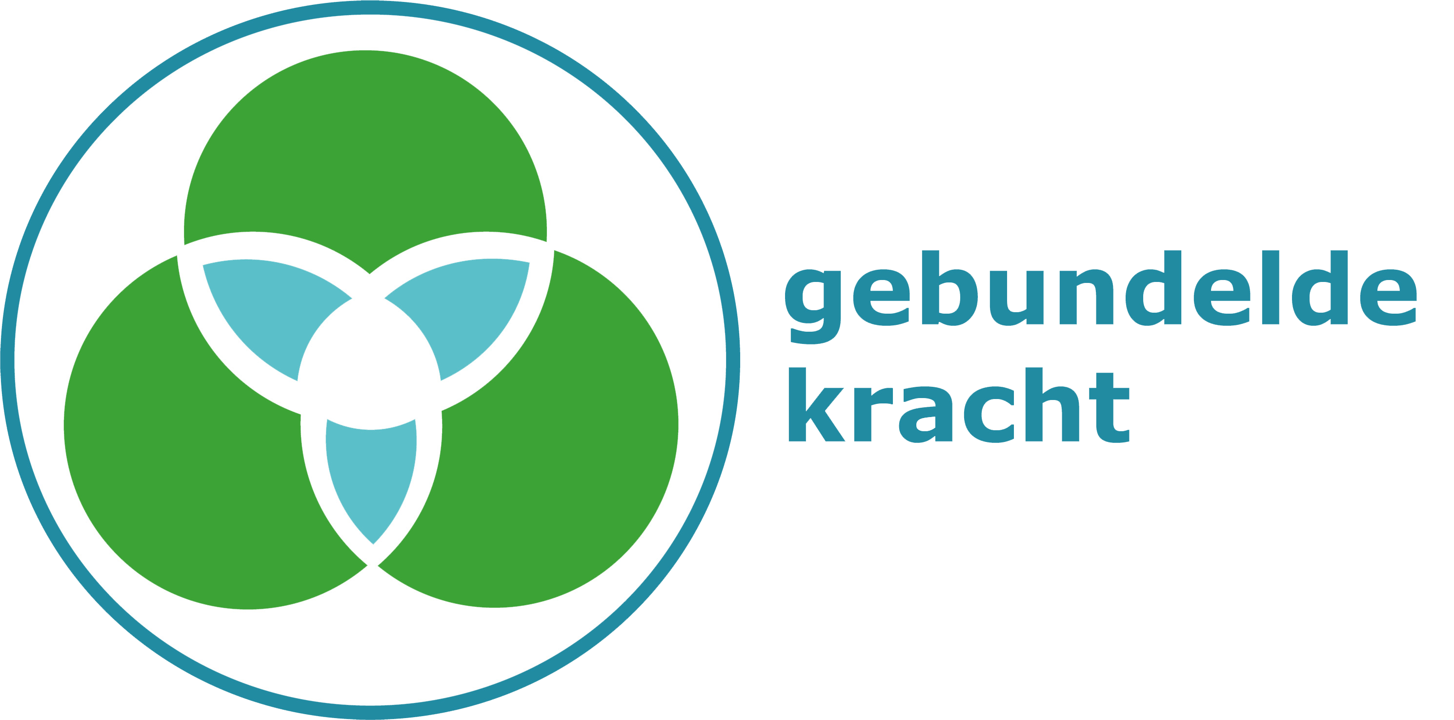 Gebundelde kracht - naar een evidence-based practice in de reclassering ...