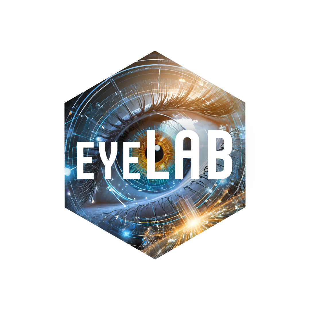 eyeLAB - Effectief aanleren van complexe visuele taken in het hbo ...